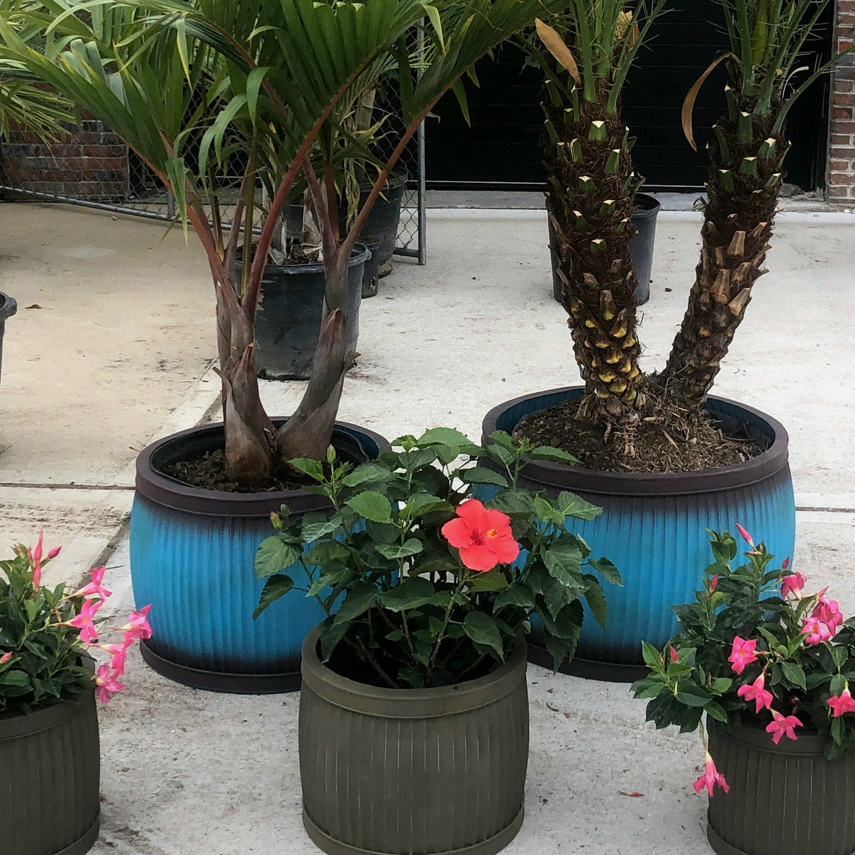 Rustic Elegance: Handmade Galvanized Metal Planters | Palms Direct